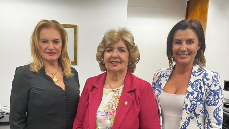 ANPPREV apresenta pautas de interesse à senadora Ivete da Si... - ANPPREV